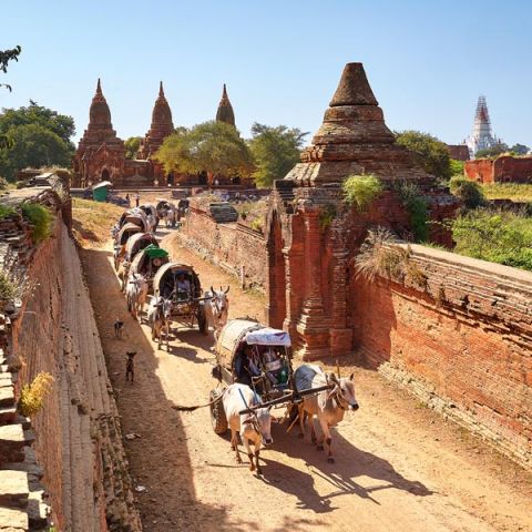 Photo Gallery - Wonder Bagan
